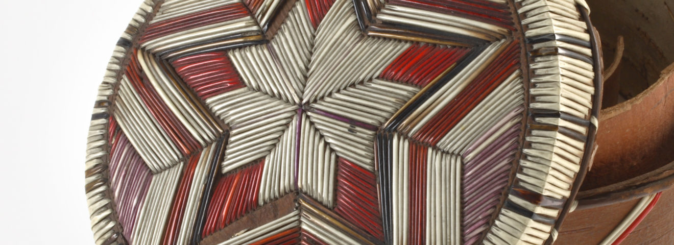 Porcupine Quills Art